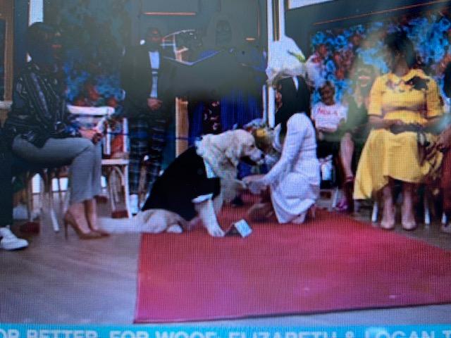 După 220 de încercări nereuşite, un fotomodel a decis să se ...