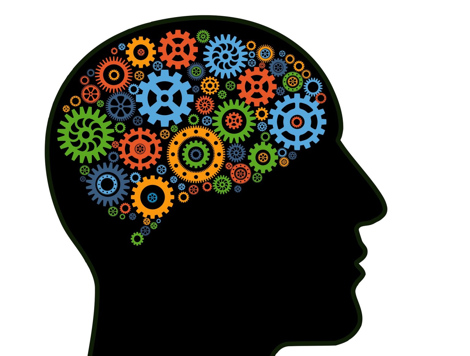 Curiozități despre creier. Cum funcționează cele două emisfere cerebrale