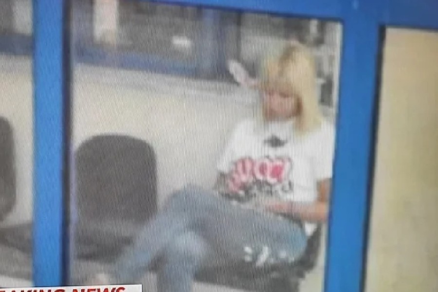 Judecătoria Ploiești decide marți dacă Elena Udrea va fi eliberată