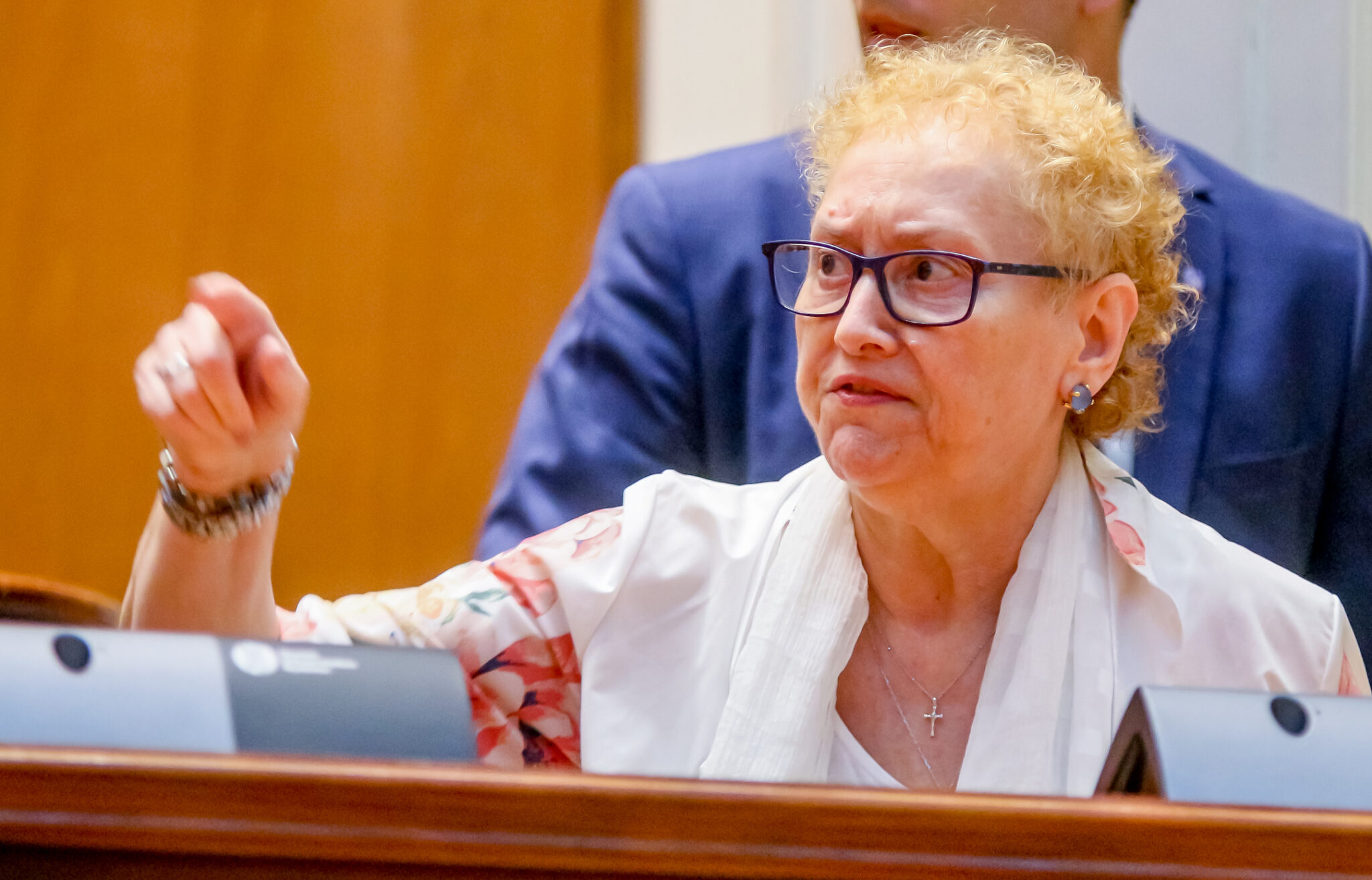 Renate Weber și drumul spre politică. De la ONG non-profit și până la ...