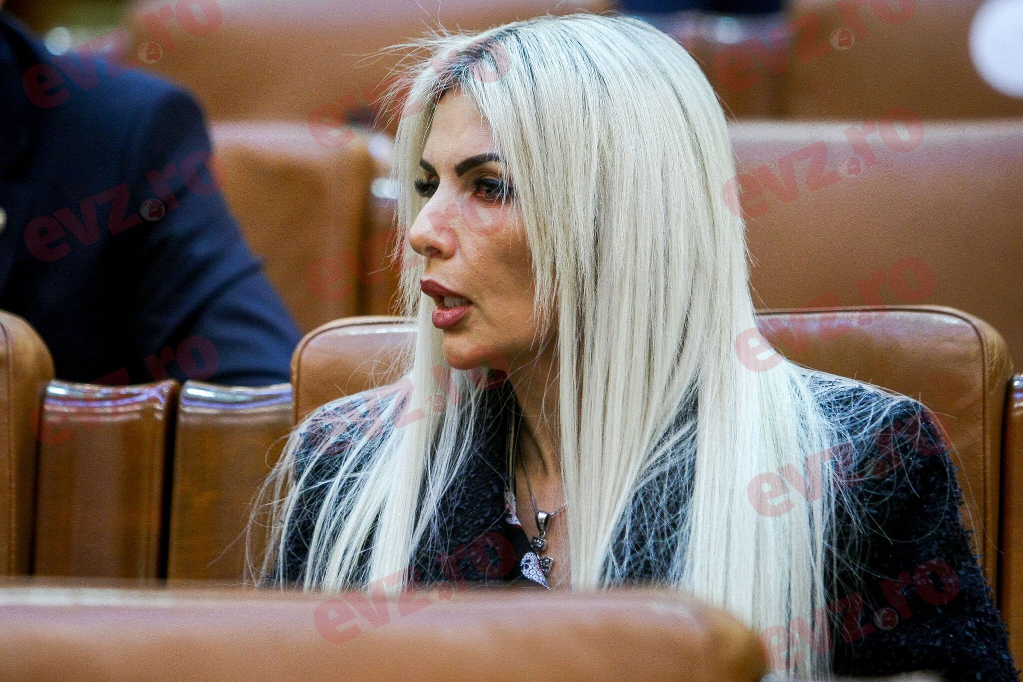 Laura Vicol și-a dat demisia de la Comisia Juridică Laura Vicol și-a dat demisia de la Comisia Juridică