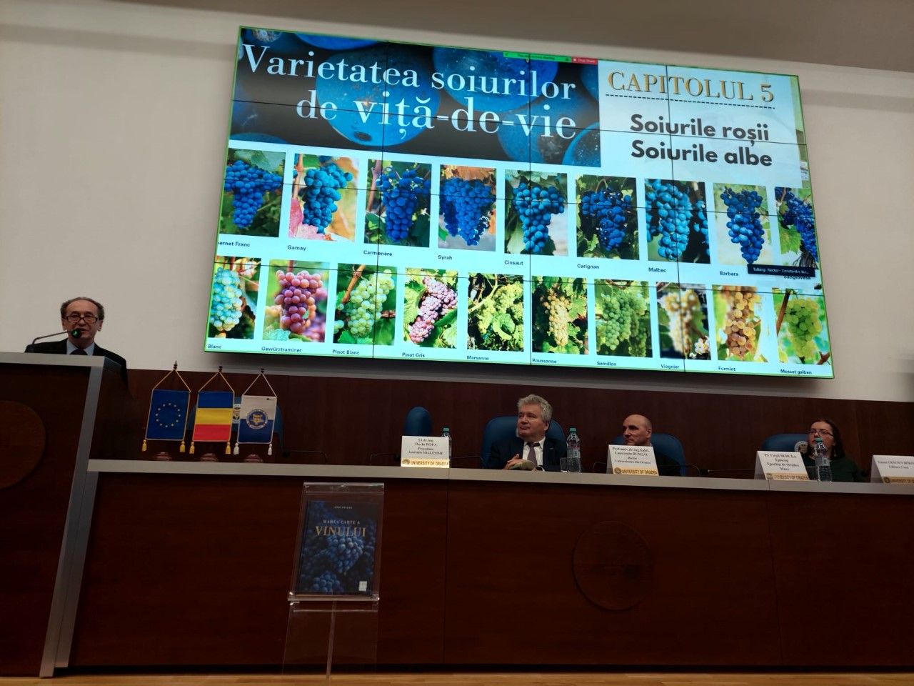 Singura statuie din lume dedicată strugurelui, ridicată la inițiativa ...