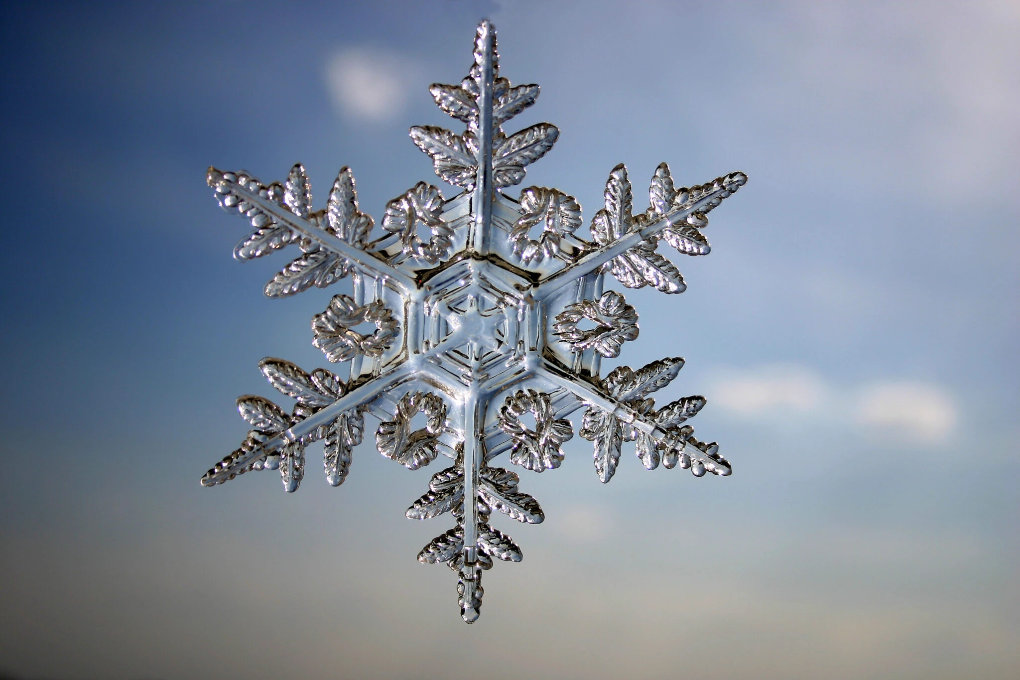 Povestea fulgului de zăpadă care a intrat în Cartea Recordurilor