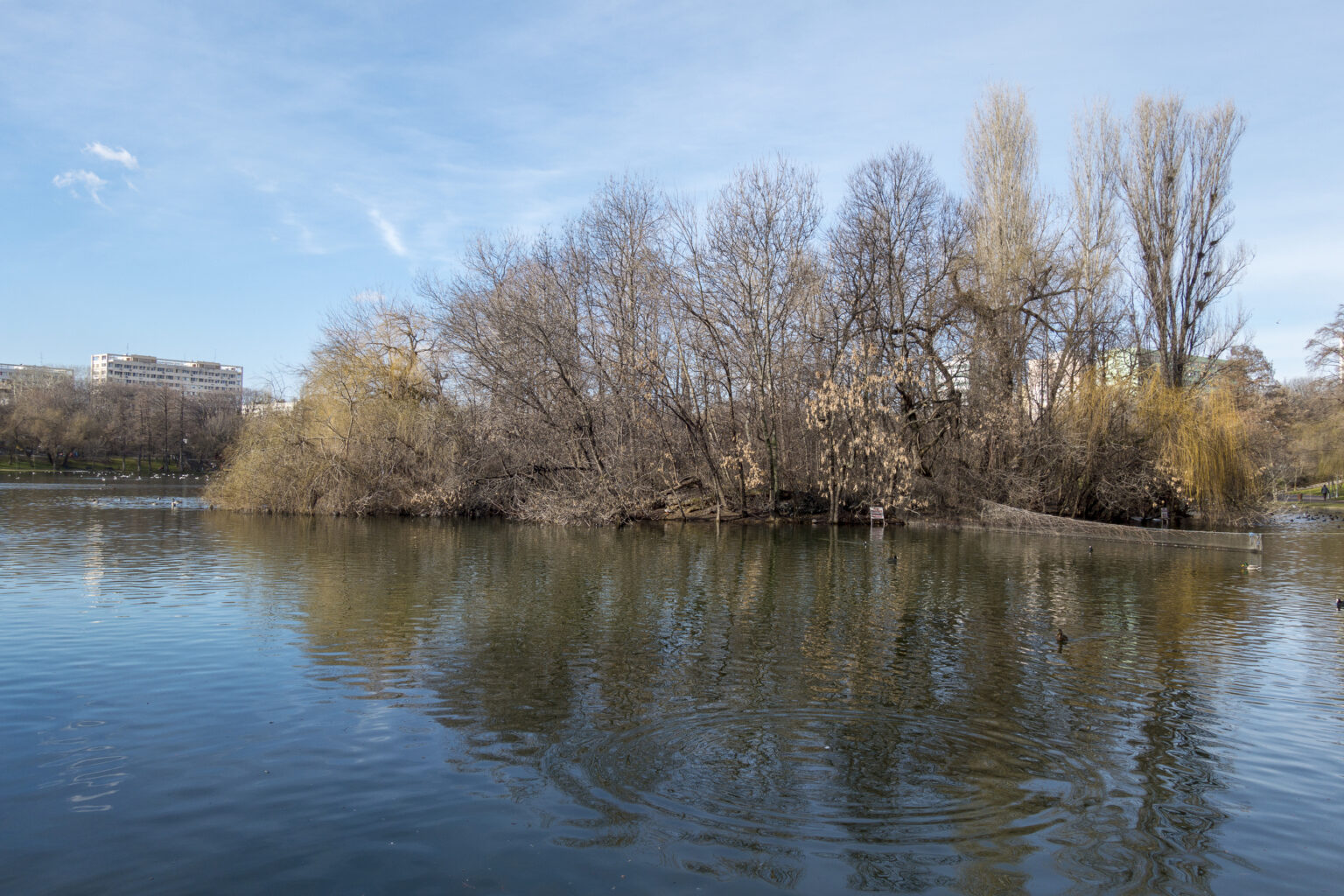Retrocedările terenurilor din Parcul IOR. Robert Negoiță a pierdut procesul