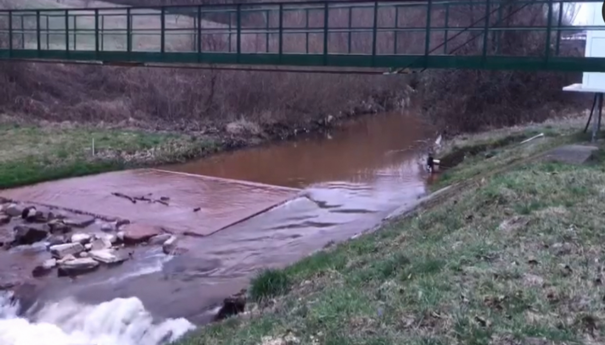 Alertă ecologică în Bihor. Poluarea de la mina Cornițel se extinde