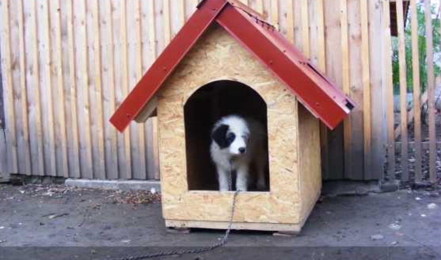 Legea construcțiilor