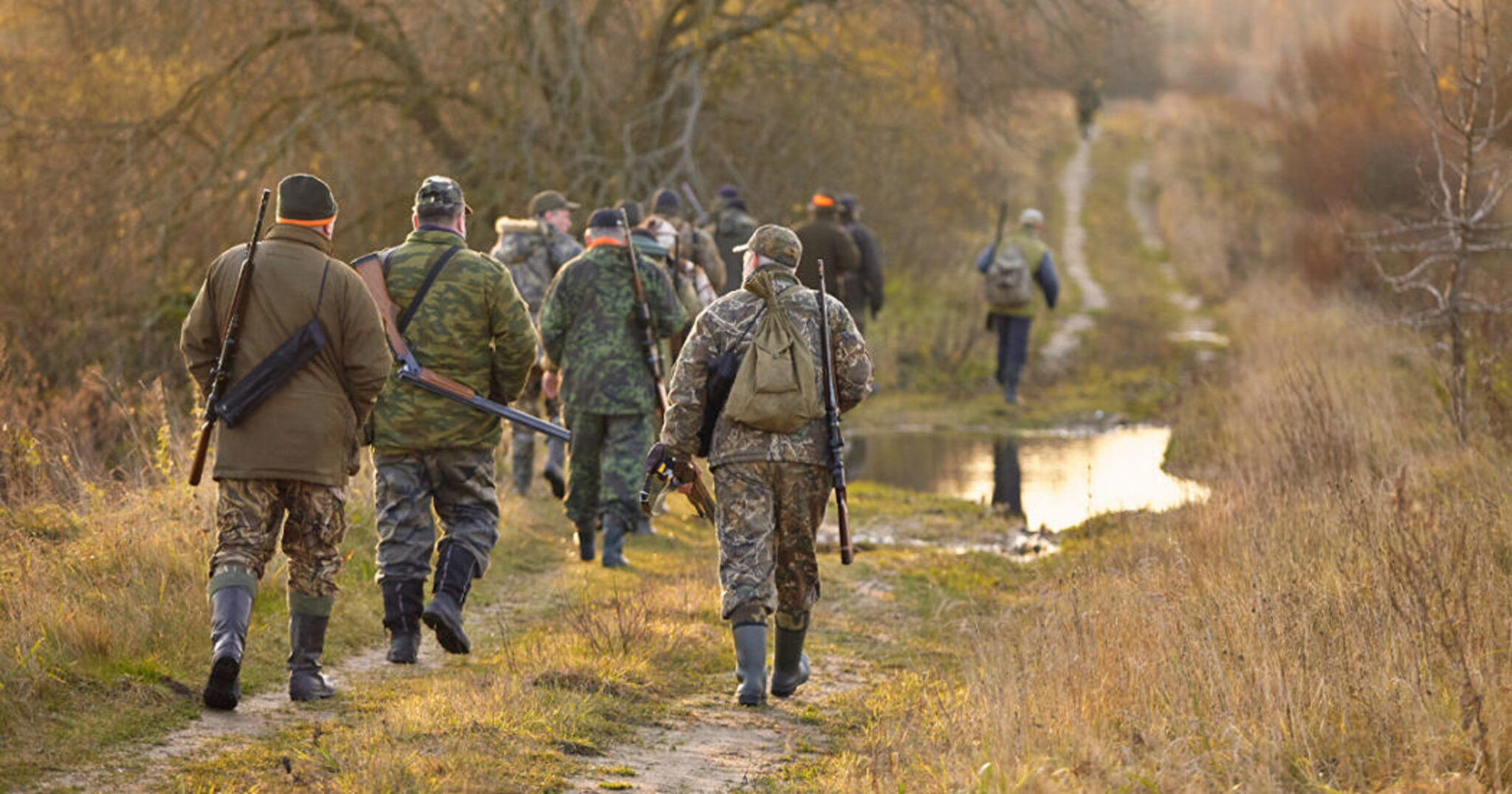 Vânătoare ilegală la rezervația naturală „Plaiul Fagului”