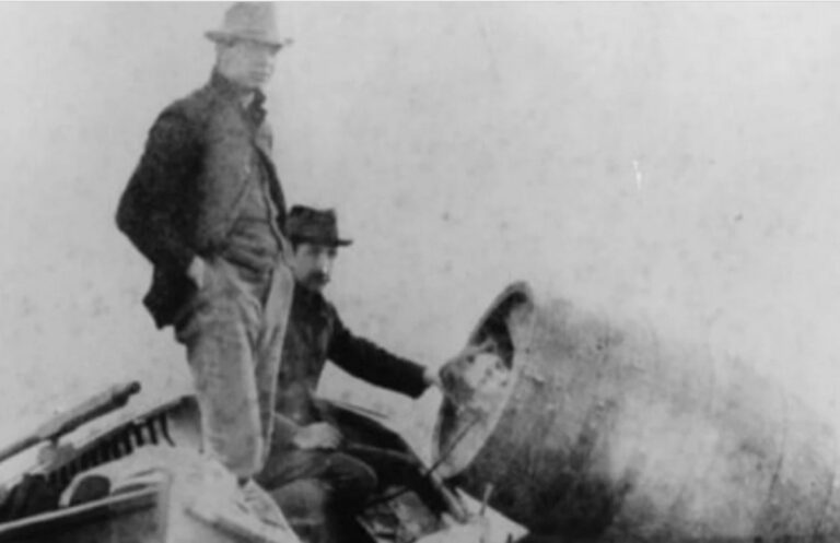 Celebritatea, mai importantă decât propria viață. Povestea lui Annie ...