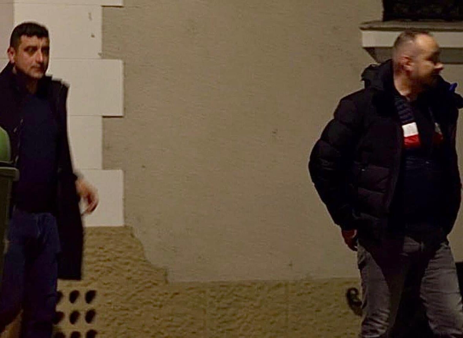 Dana Budeanu: „Siamezii George și Silviu fac noaptea strategii!”