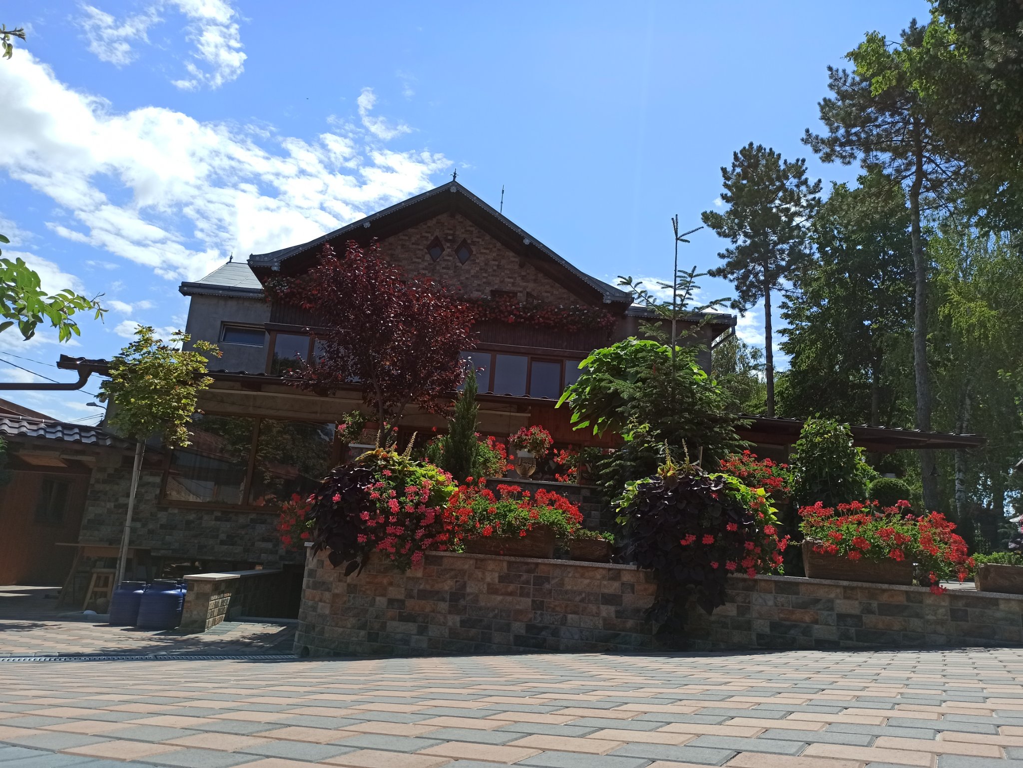 Azilul groazei din Dorohoi. Descoperiri șocante și măsuri târzii