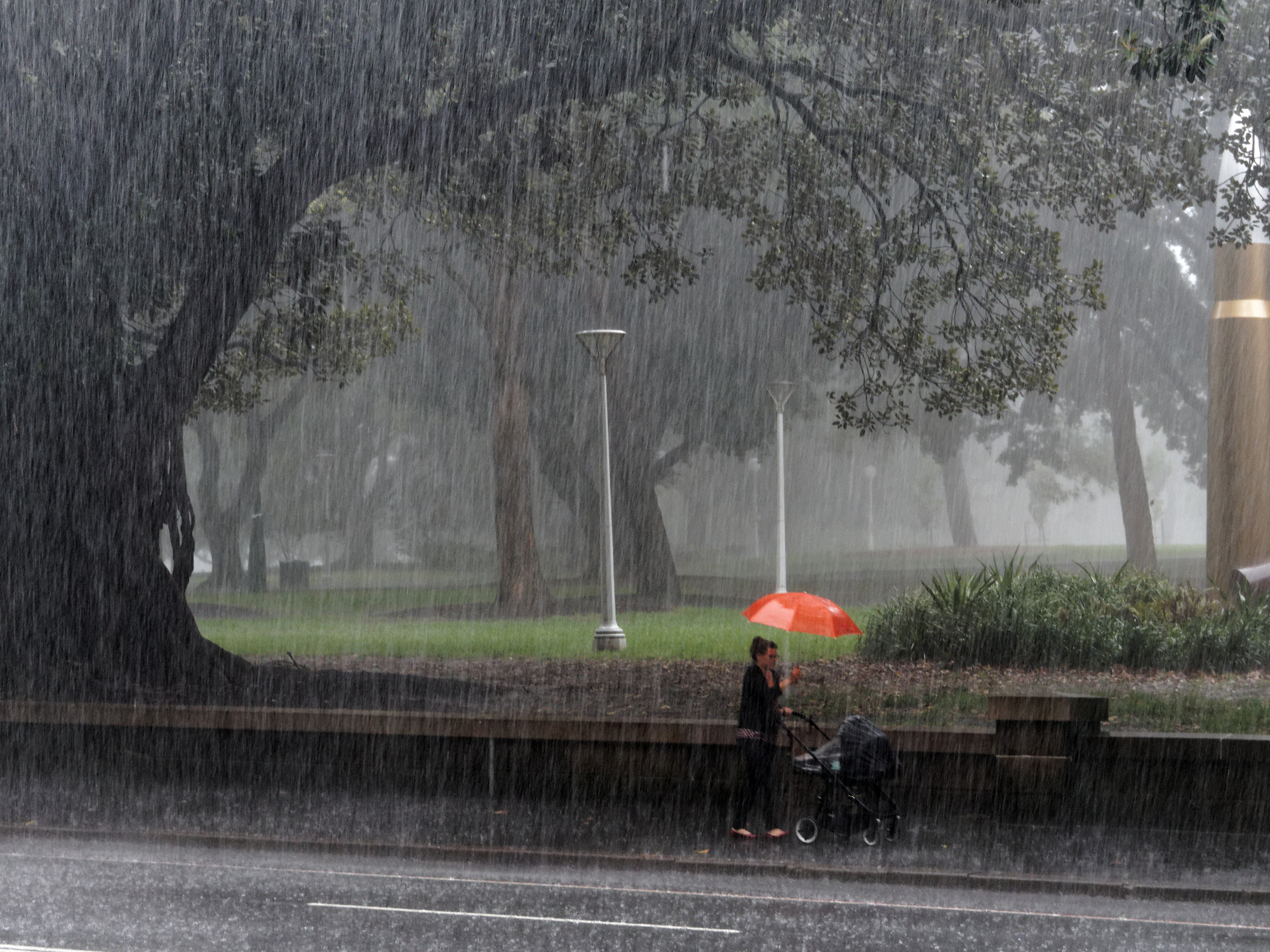 Cursuri online la mai multe universități din București, pe durata ...