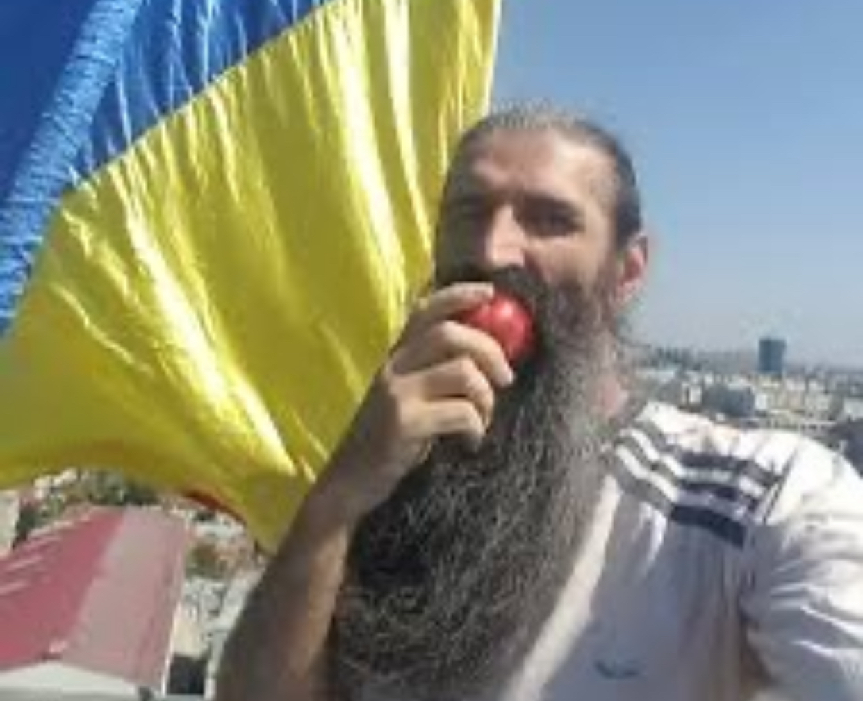 Stegarul Dac nu renunță la vechile obiceiuri. S-a urcat în copacul din ...