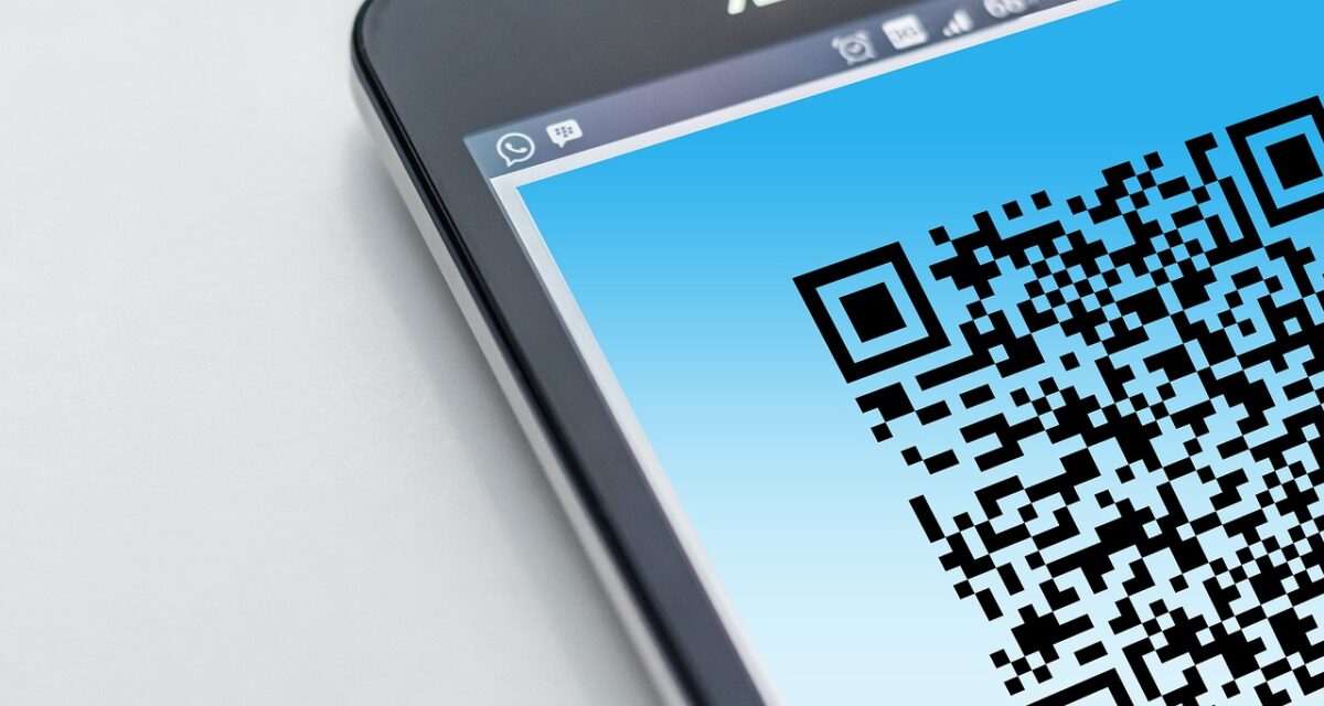 Paşapoartele simple temporare vor avea un cod QR digital pentru ...