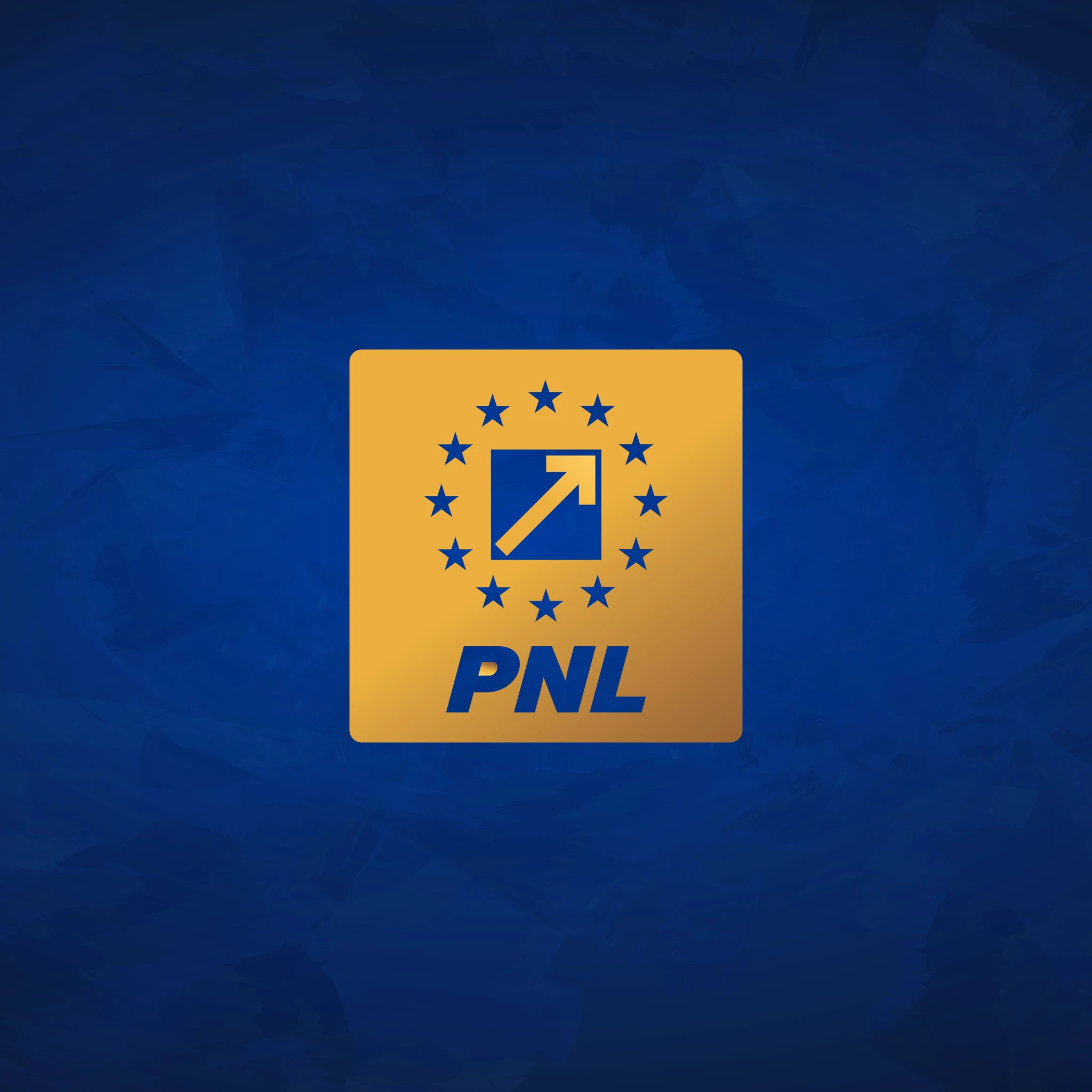 Ilie Bolojan, despre PNL: Partidul a rămas cu datorii importante pe ...