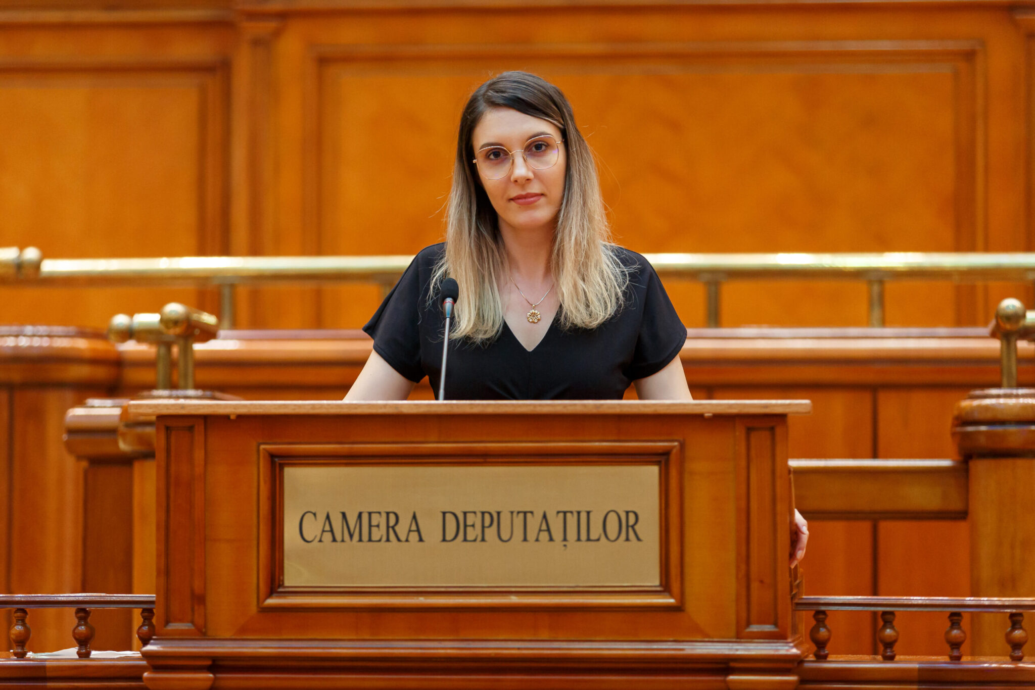 Moţiunea împotriva Dianei Buzoianu, adoptată cu voturile PSD. Daniel ...