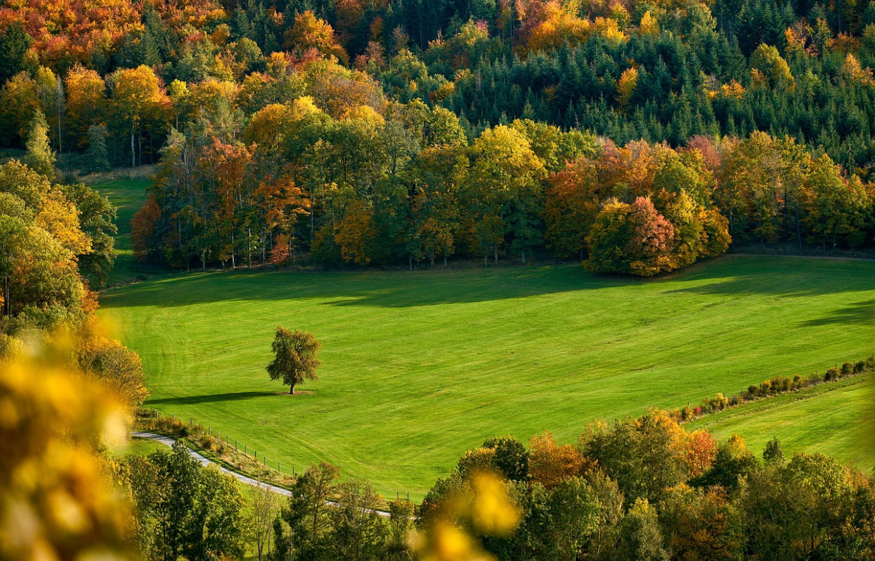 Prognoza meteo, 29 octombrie. Românii se mai pot bucura de vreme ...