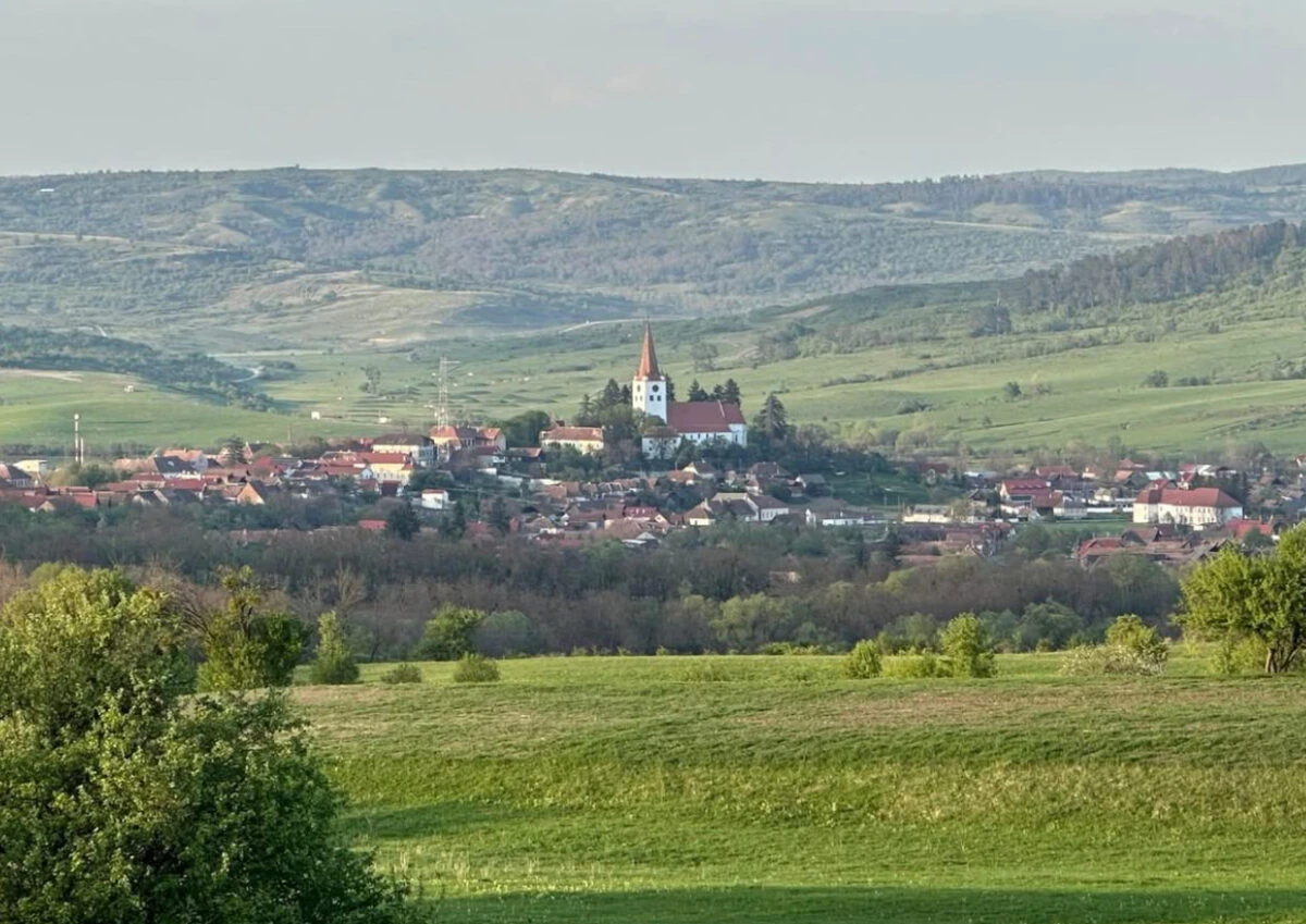 Olivia Steer, de la studii juridice, la influencer cu ciudățenii anti ...