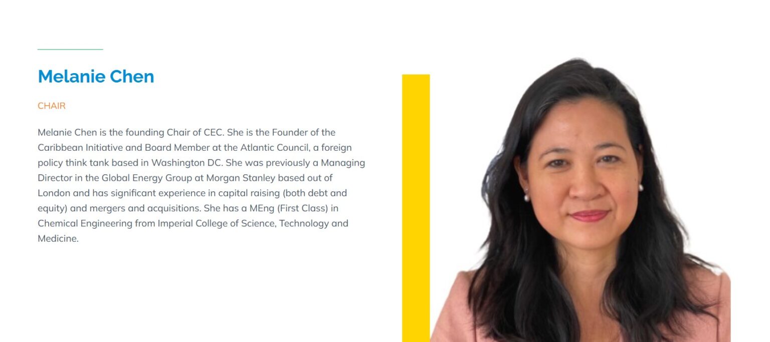 Fosta parteneră a lui Dinu Patriciu, Melanie Chen, revine. Ce face cu ...