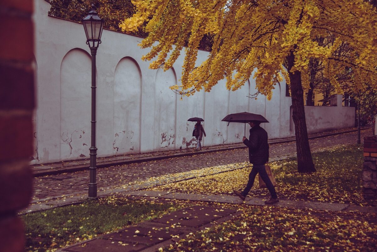 Tradiții de toamnă în România. Festivalurile dedicate recoltei