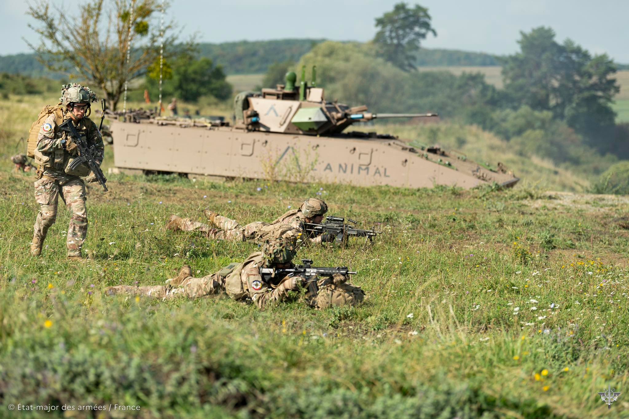 Se introduce stagiul militar voluntar pentru acești români