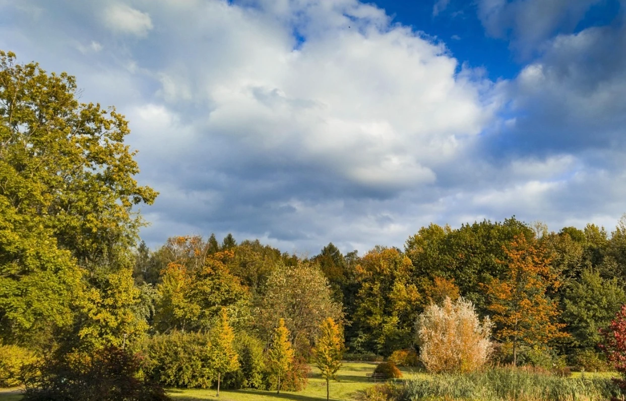 Prognoza meteo, 1 octombrie. Vreme deosebit de rece în majoritatea ...
