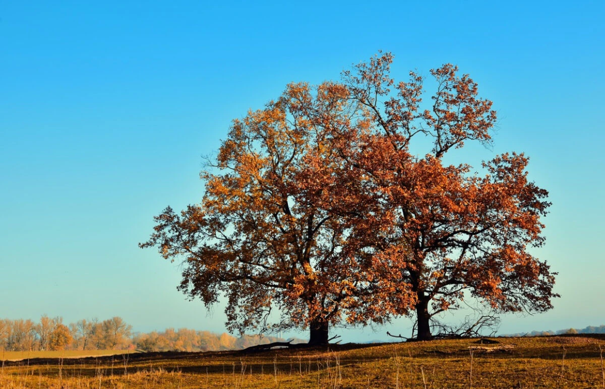 Prognoza meteo, 21 septembrie. Vreme deosebit de caldă. Unde vor fi ...
