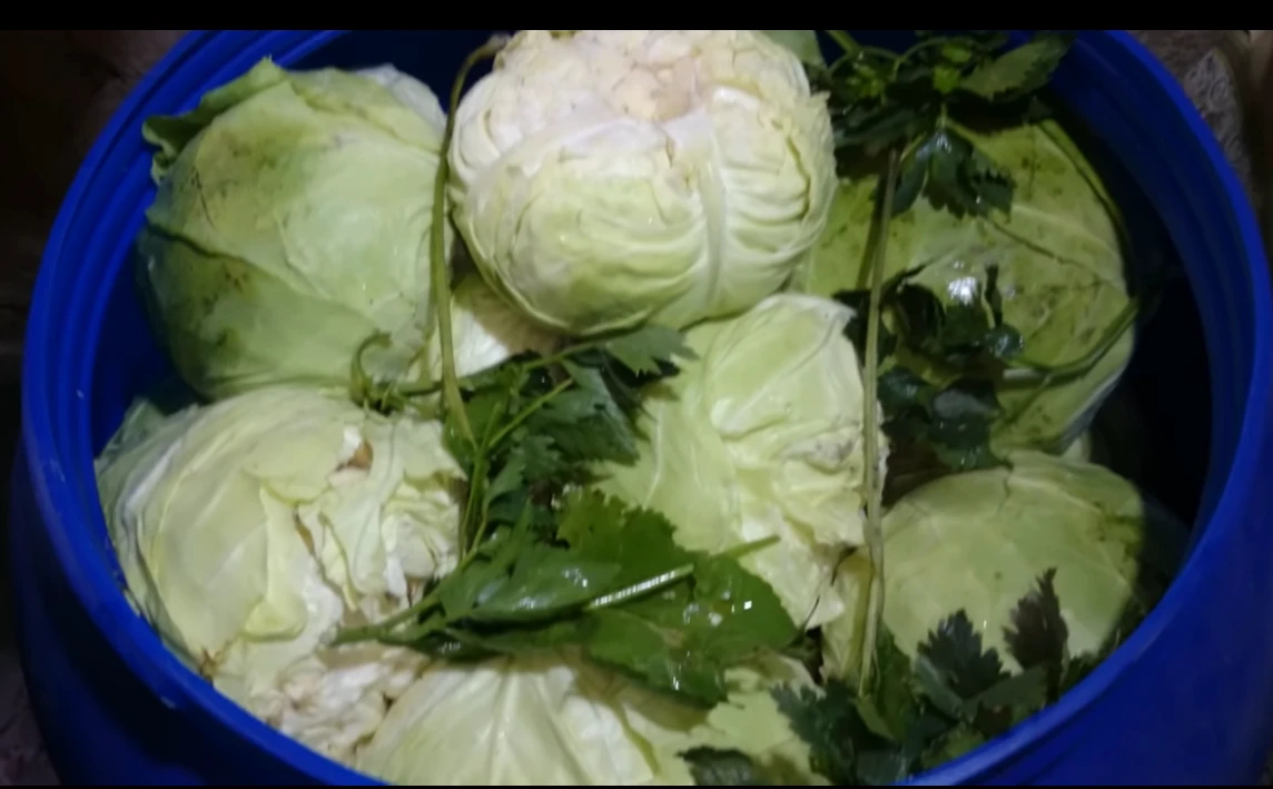 Cum se pune varza la murat ca pe vremea bunicilor. Rețeta, pas cu pas