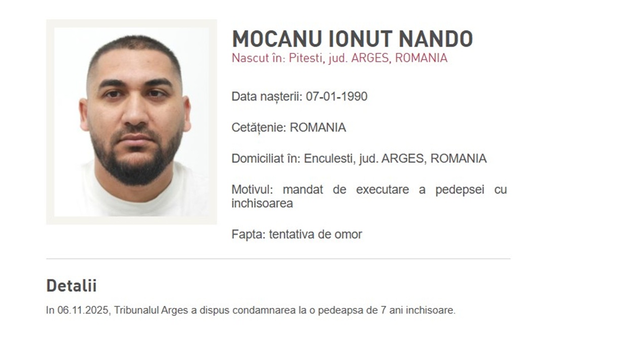 Dani și Nando Mocanu, frații care „au crezut că legea nu există ...