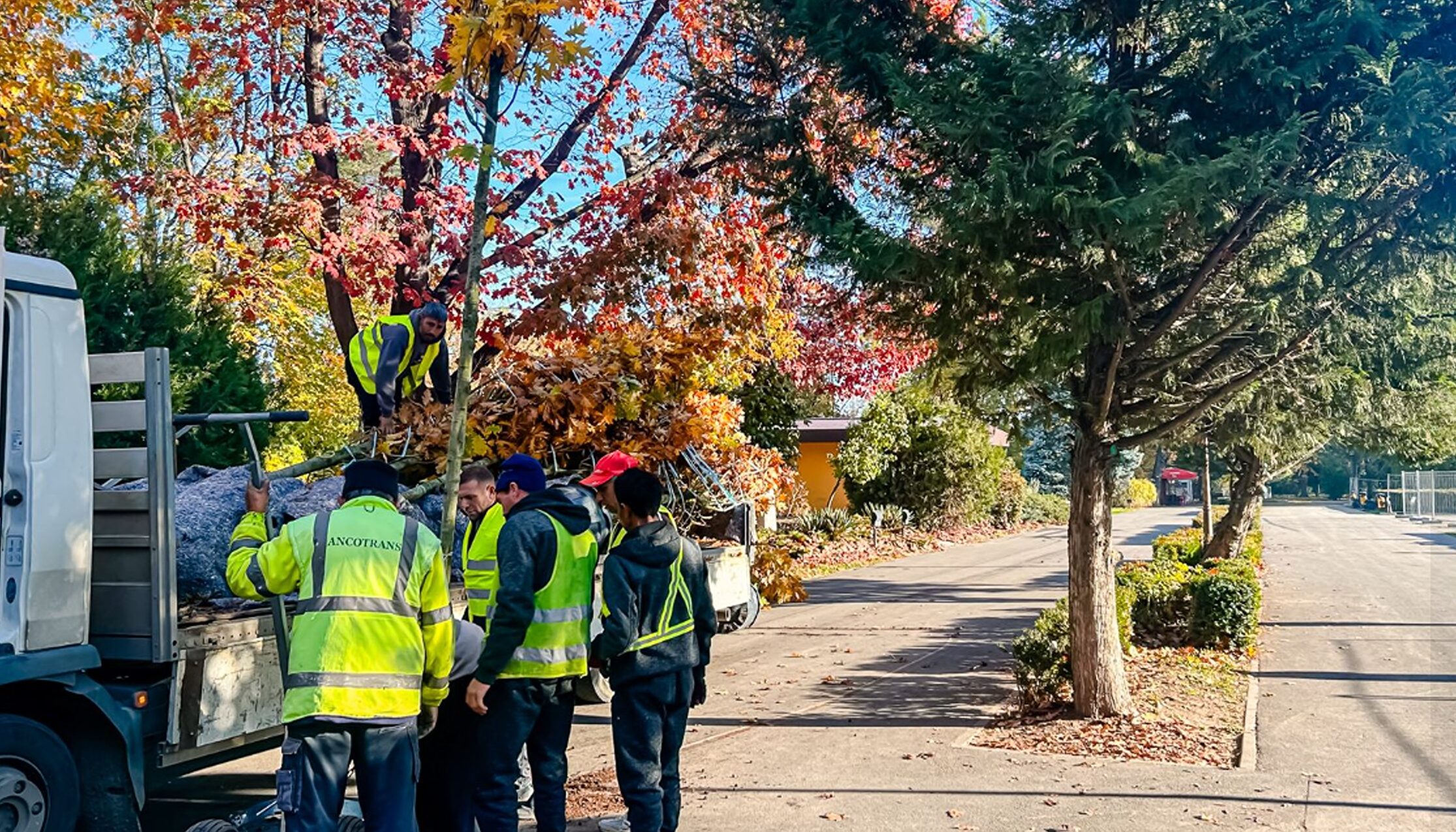 ALPAB, achiziții de la o firmă vizată de DNA. Instituția se raportează ...